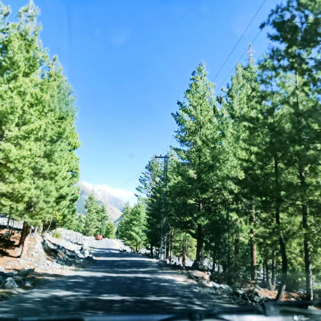 Chilim Valley Travel Guide 2025: How to Reach the Gem of Astore